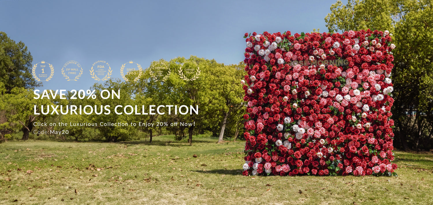 More Popular Flower Wall, Rose Morning