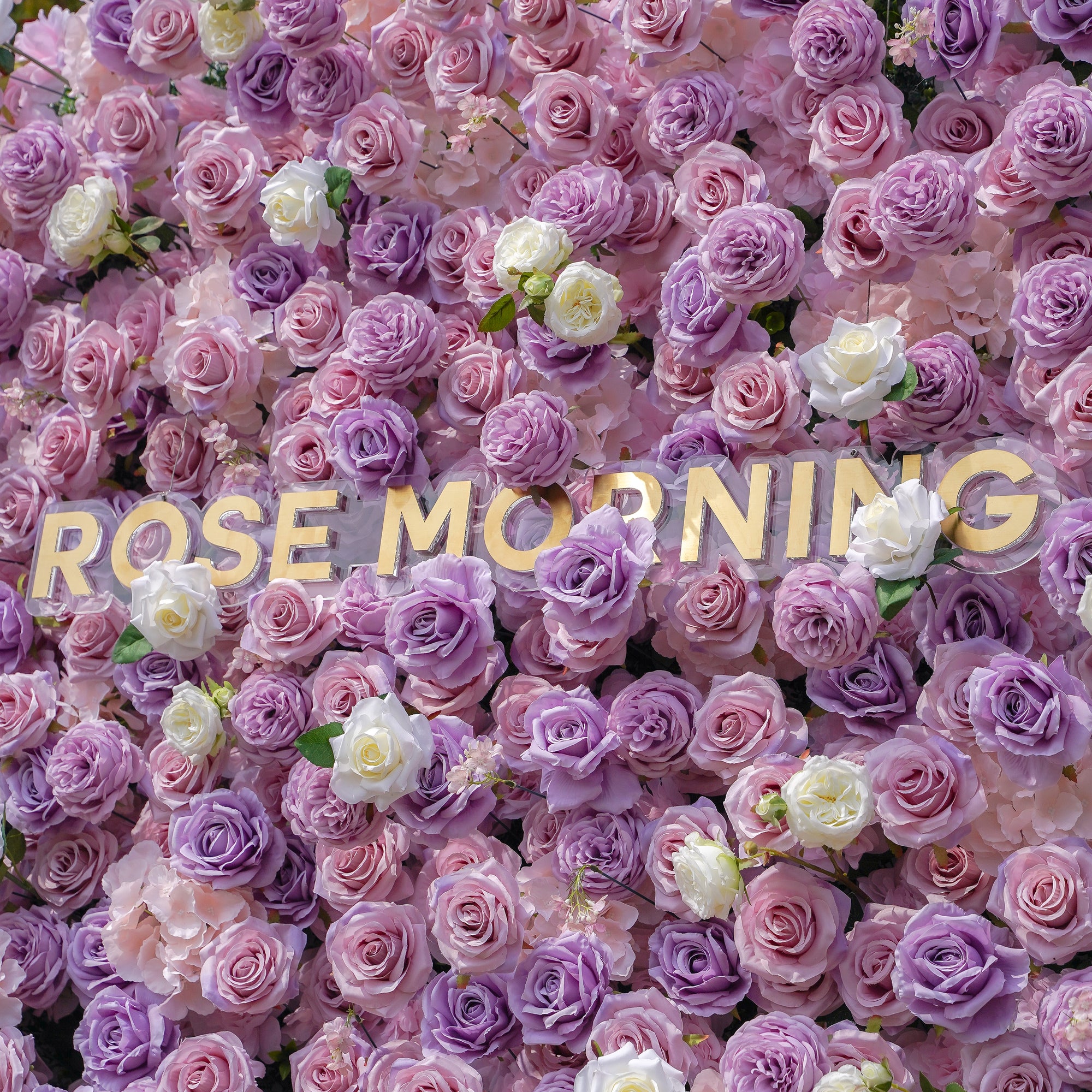 Alina：5D Fabric Artificial rolling up curtain flower wall - Rose – Rose ...