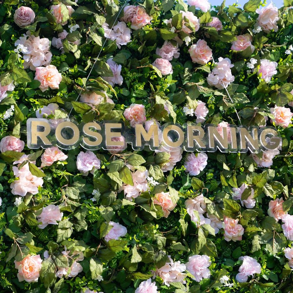 Economical Get it now - Rose Morning