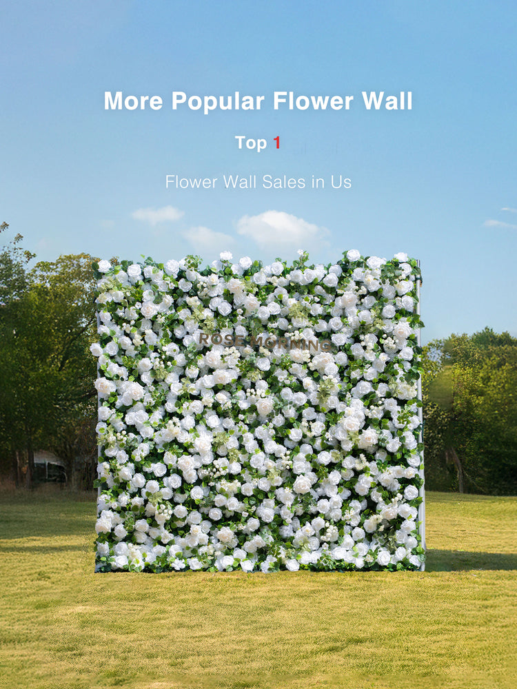 More Popular Flower Wall, Rose Morning