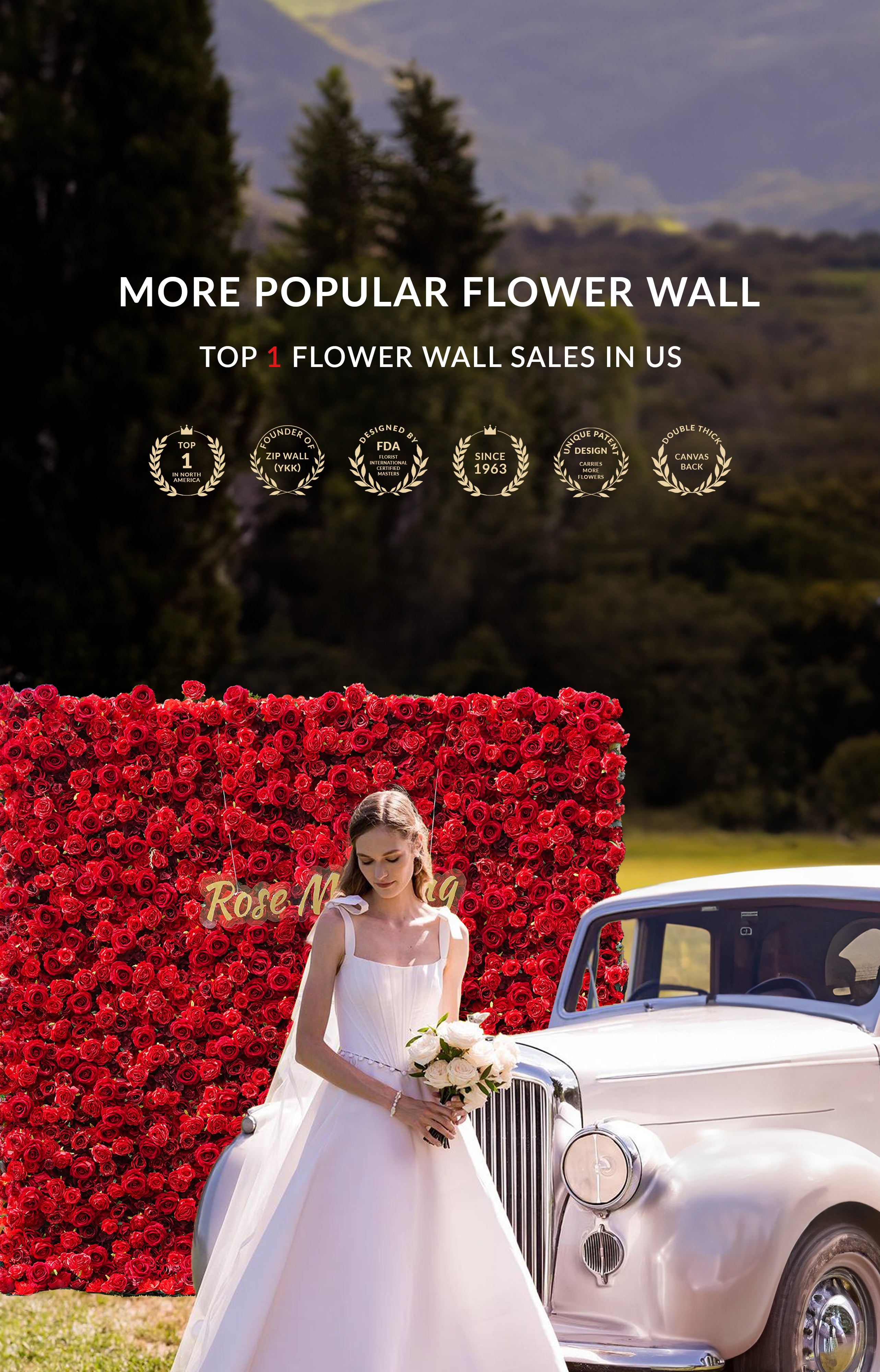 More Popular Flower Wall, Rose Morning