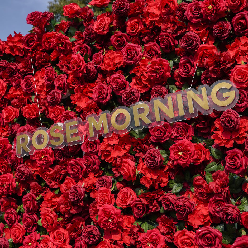 Flower Walls Get it now - Rose Morning
