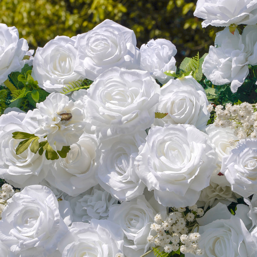 More Popular Flower Wall, Rose Morning