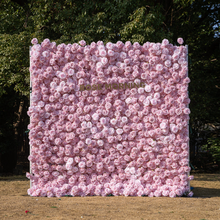 More Popular Flower Wall, Rose Morning
